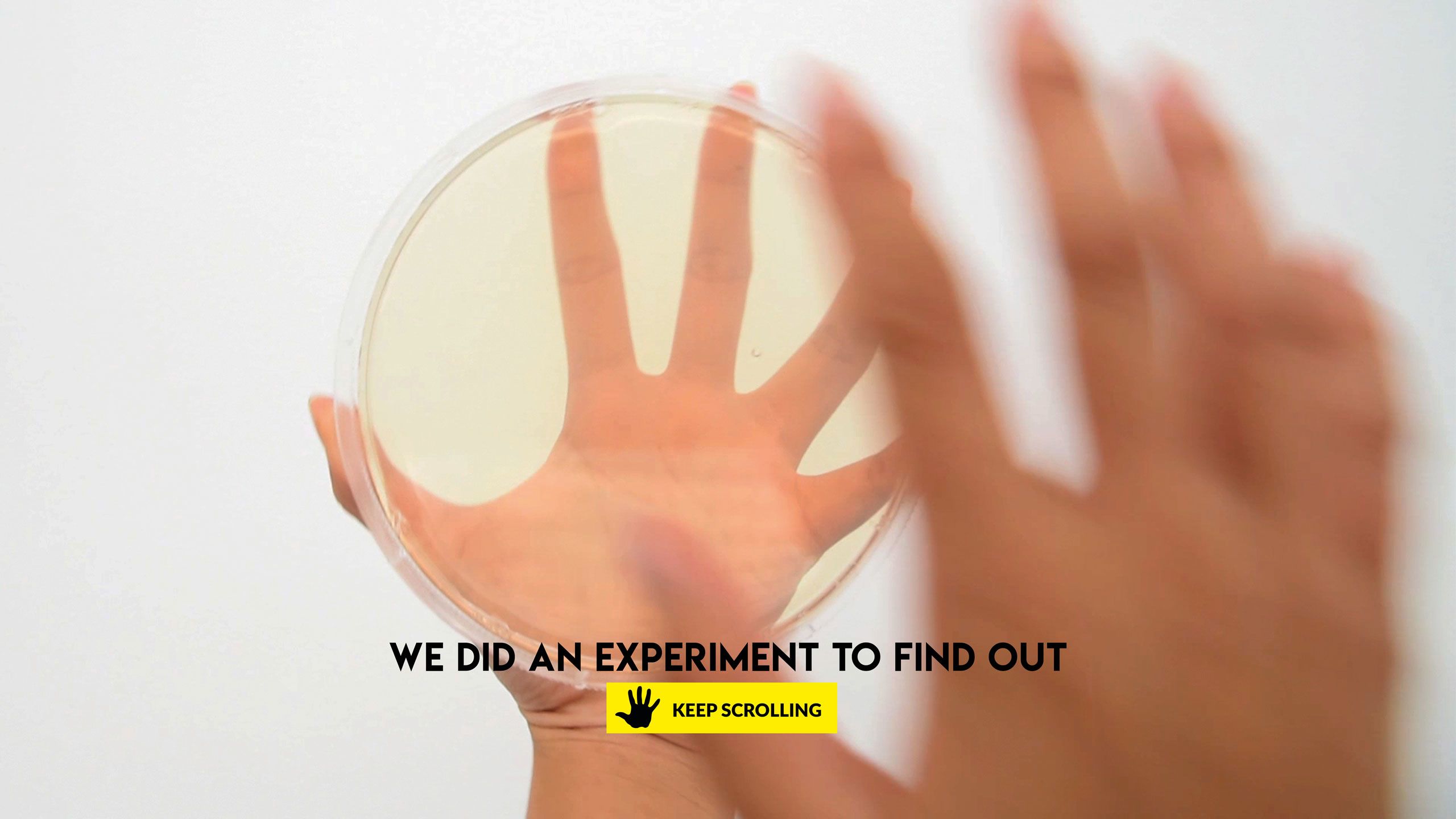 Hands on: The bacteria on your hands