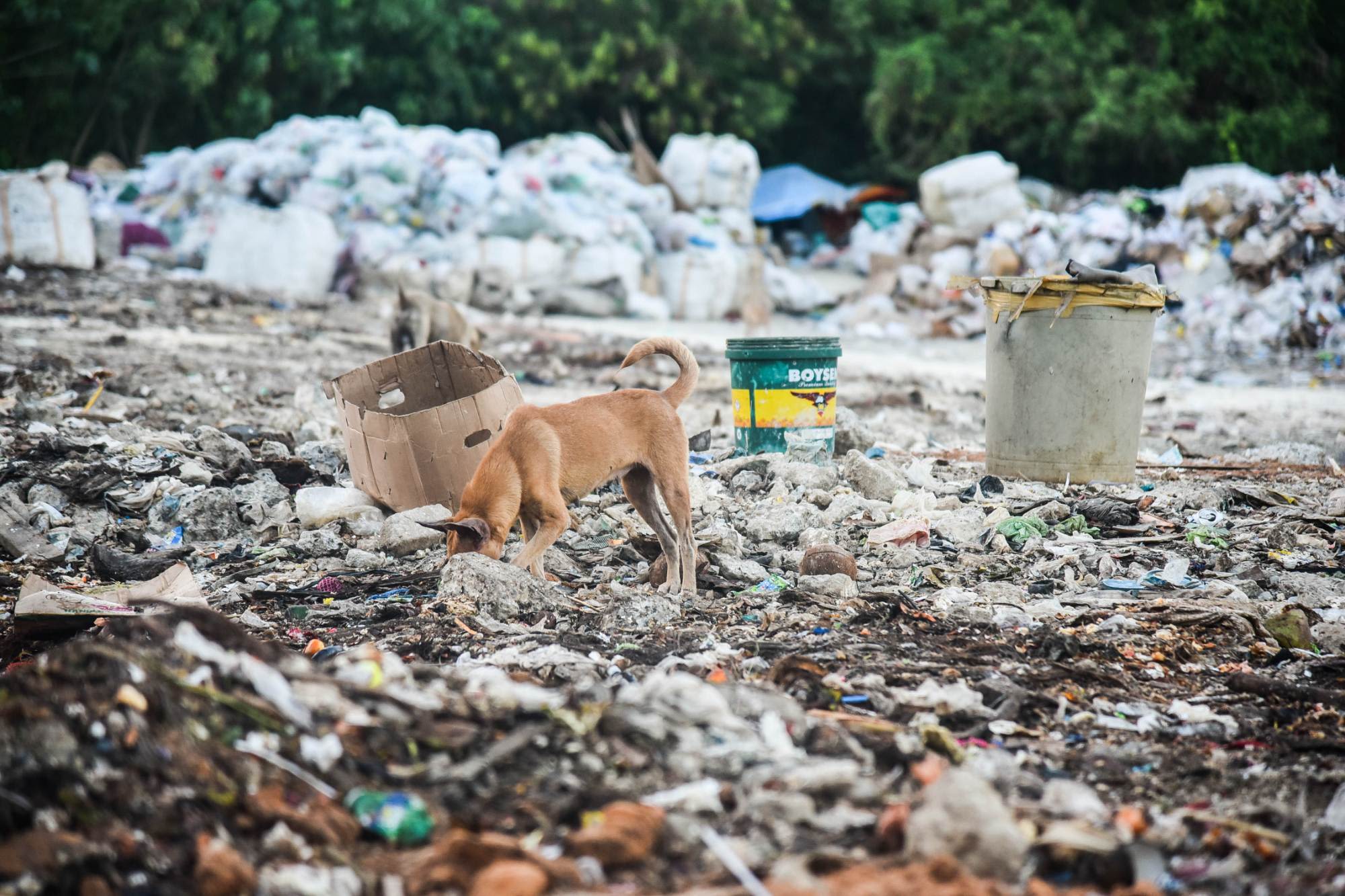 Closing Boracay: The Environment
