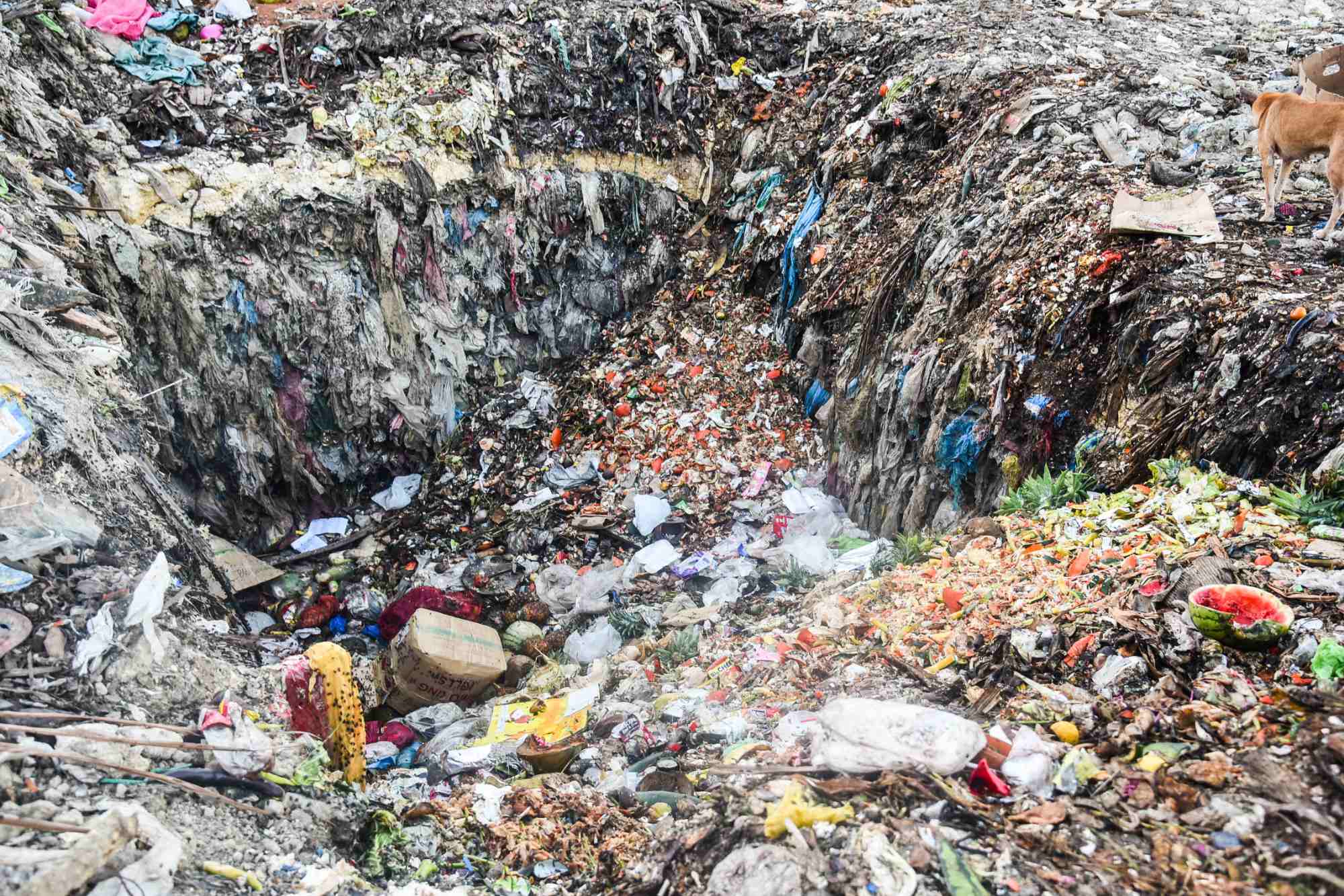 Closing Boracay: The Environment