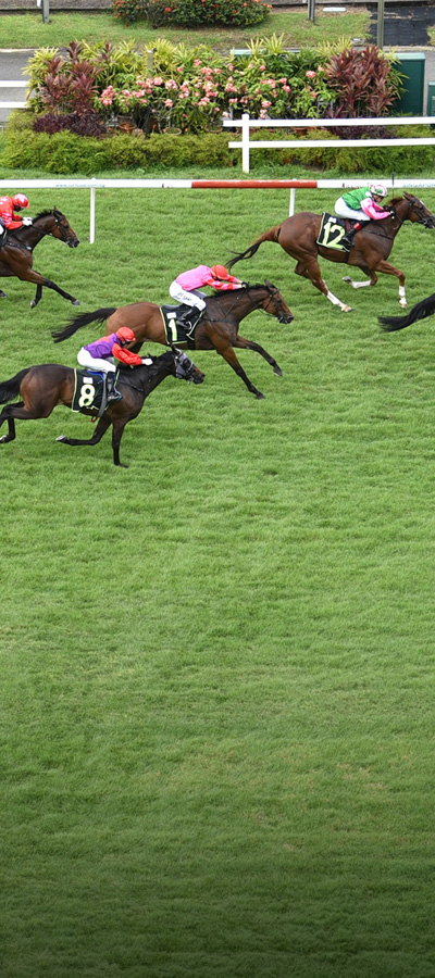 Singapore Turf Club: A lookback, through the archives